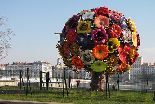 Photo du Flower Tree, Lyon | Redécouvrir Lyon en photo