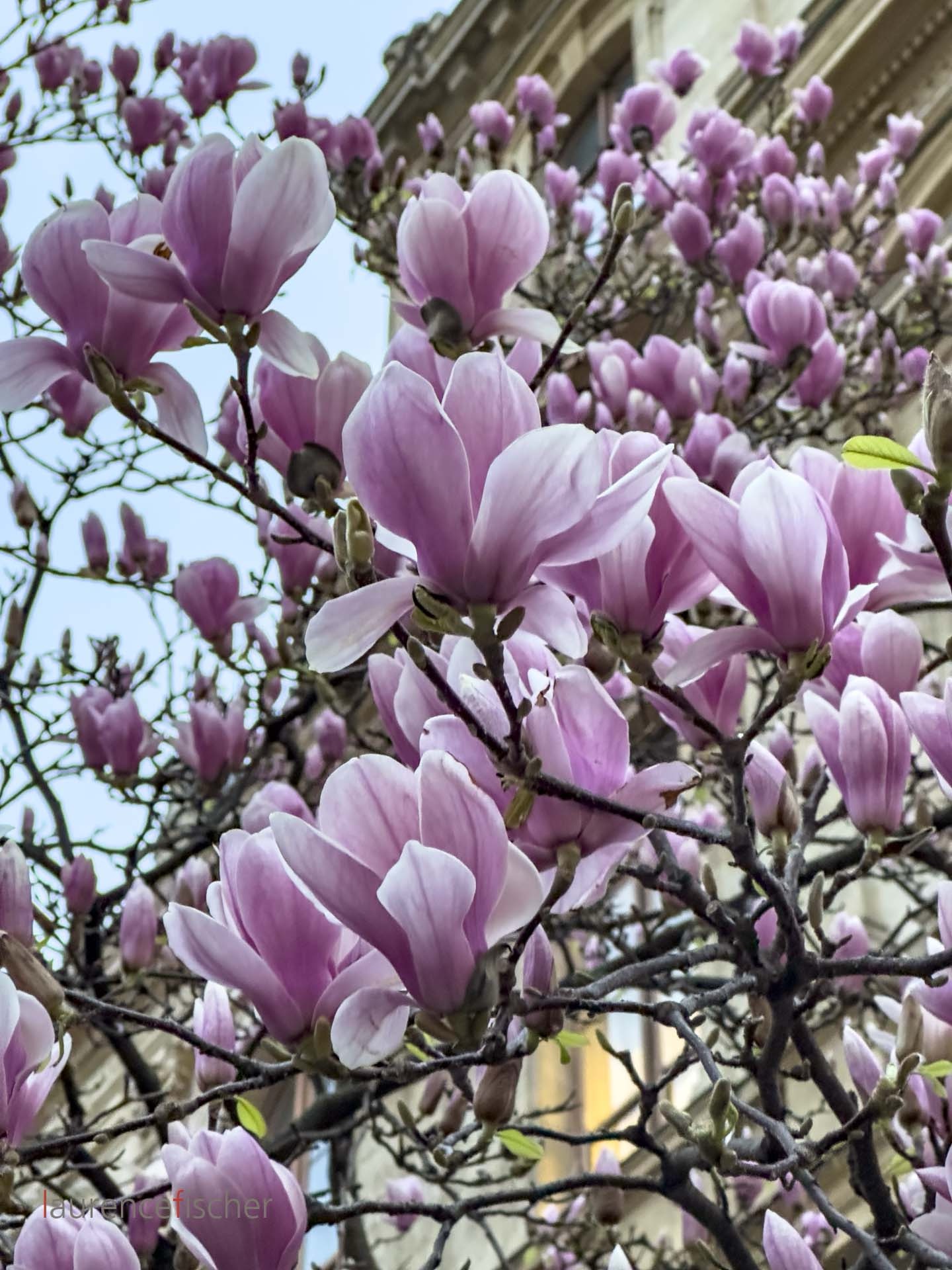 Redécouvrir Lyon en photo